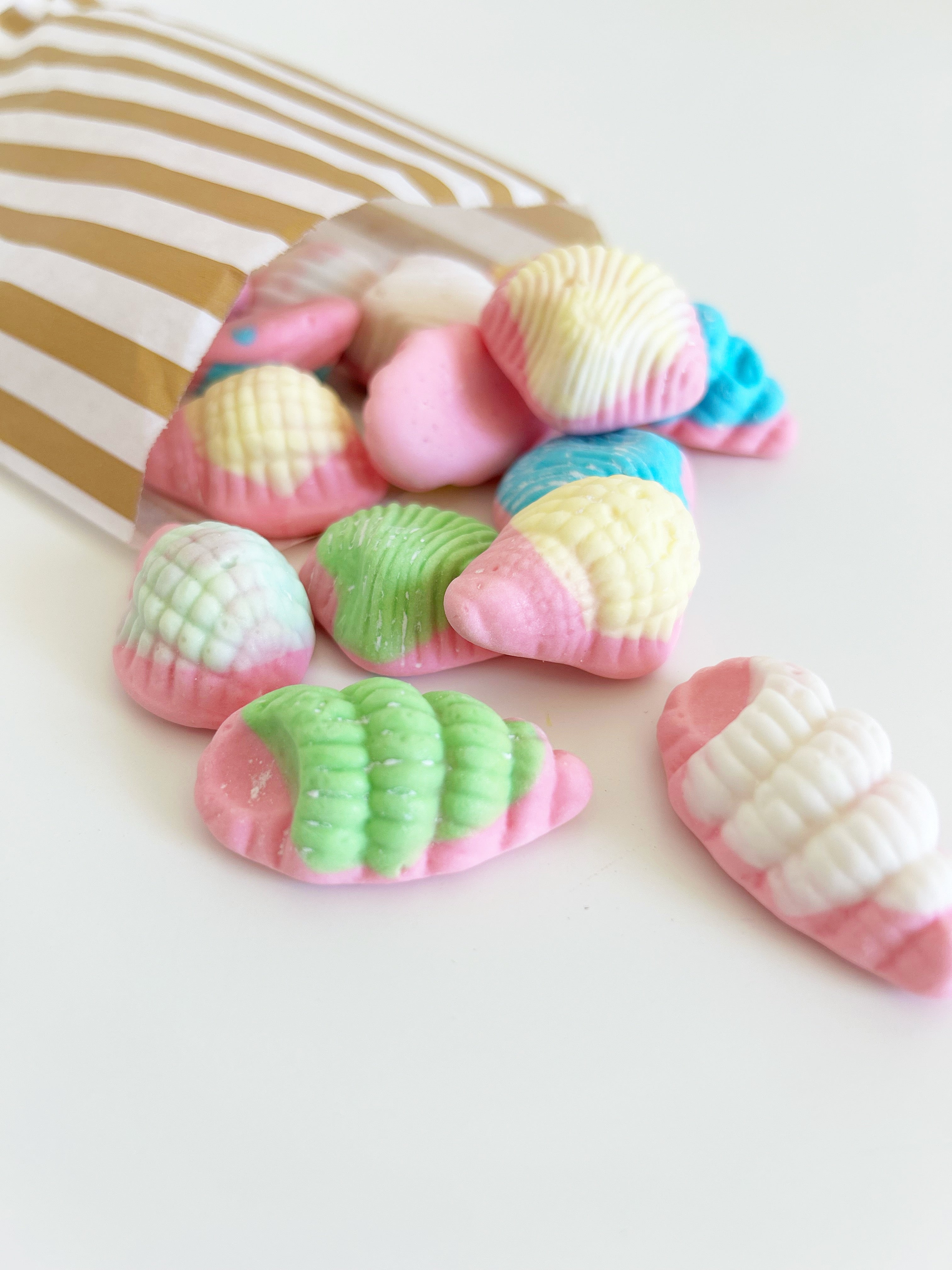 Foam Sea Shells – The Sweetie Jar